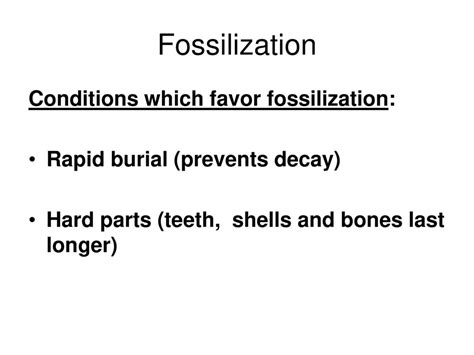 Fossils Preserved Traces Imprints Remains Paleontology Paleo Old