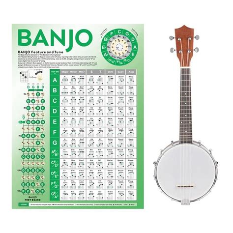 Banjo Chord Chart Poster Easy Chords Beginner Eur 1109 Picclick Fr