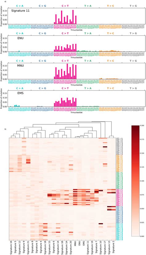Results Of Sequence Context Analyses Of Mutations Observed In Samples