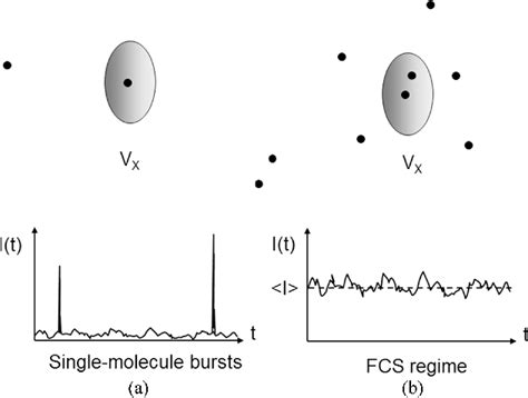 Figure 1 From Silicon Photon Counting Avalanche Diodes For Single Molecule Fluorescence