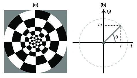 A Radial Checkerboard Stimulus The Stimulus As Used By Engel Et Al