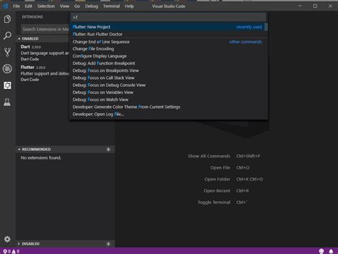 Google Please Help Me I Can Not Create Flutter Project AS VSCode GUI Flutter Run Crash