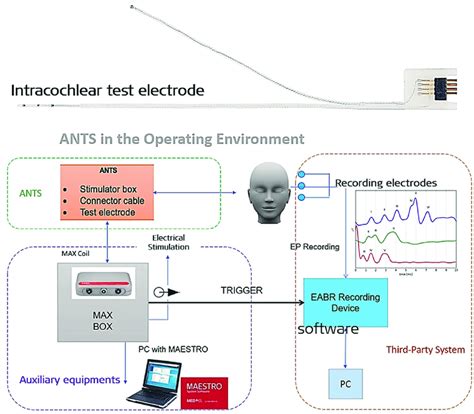 Intracochlear Test Electrode And Test Set Up In Recording The Eabr Download Scientific Diagram