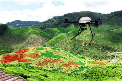 Remote Sensing For Monitoring Vegetation