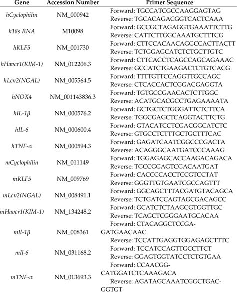 Primer Sequence Human H And Mouse M Download Scientific Diagram