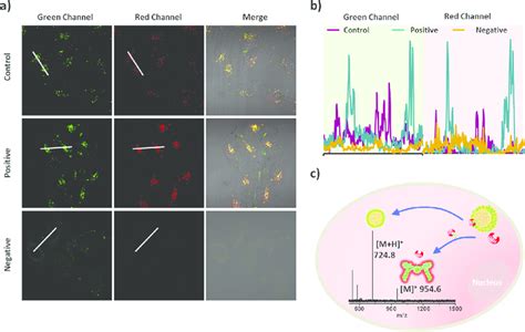 Gsh Based Bio Orthogonal Reaction For Intracellular Application A