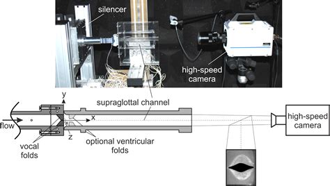 A Benchmark Case For Aeroacoustic Simulations Involving Fluid Structure Acoustic Interaction