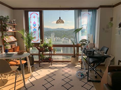 빈티지를 사랑하는 인테리어 디자이너의 플랜테리어 🪴 라이프스타일 슈퍼앱 오늘의집