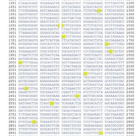 Human Dystrophin Gene Exons And Promoters A The Middle Section Shows