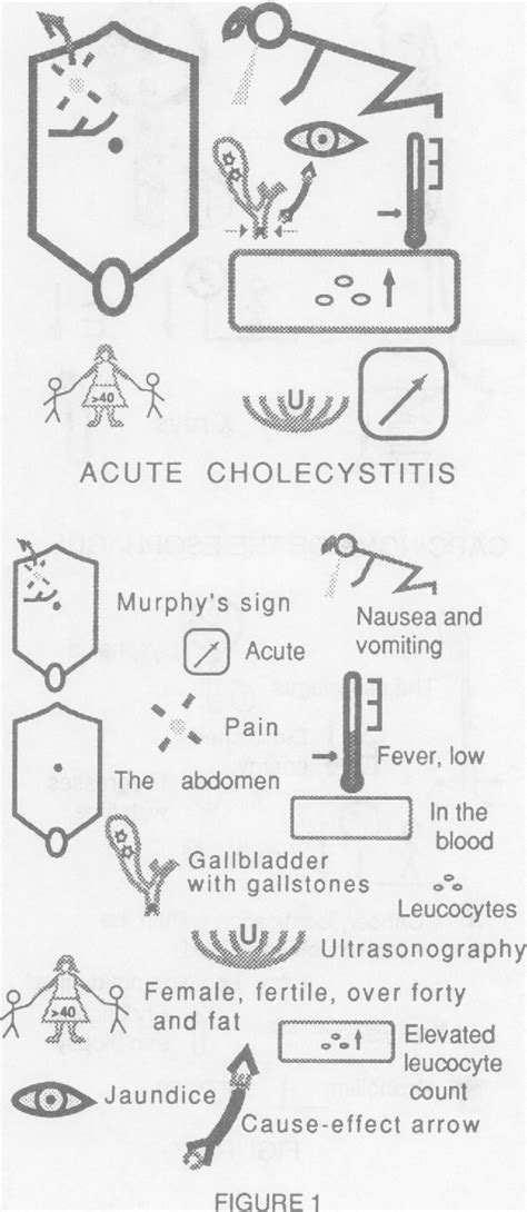 Figure 1 From Uval Med A Universal Visual Associative Language For Medicine Semantic Scholar