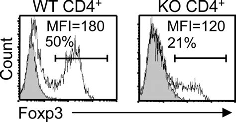 In Vitro Development Of Ets 1−− T Reg Cells Facs Analysis Of Foxp3