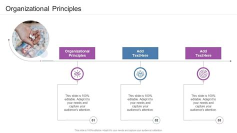 Organizational Principles In Powerpoint And Google Slides Cpb PPT Sample