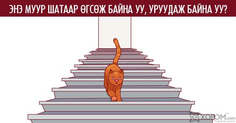 Анхаарал шалгах сонирхолтой 5 таавар Таны тархинд жинхэнэ фитнес болж өгч чадна