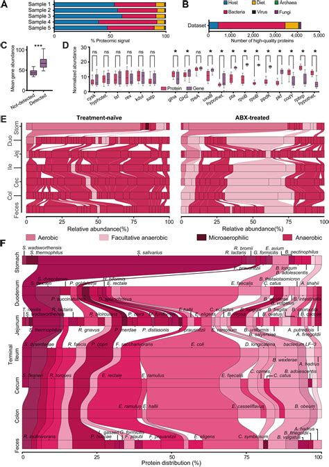Metagenome Informed Metaproteomics Of The Human Gut Microbiome Host