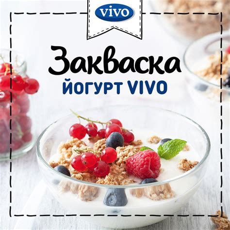 Закваски VIVO Казахстан | ВКонтакте