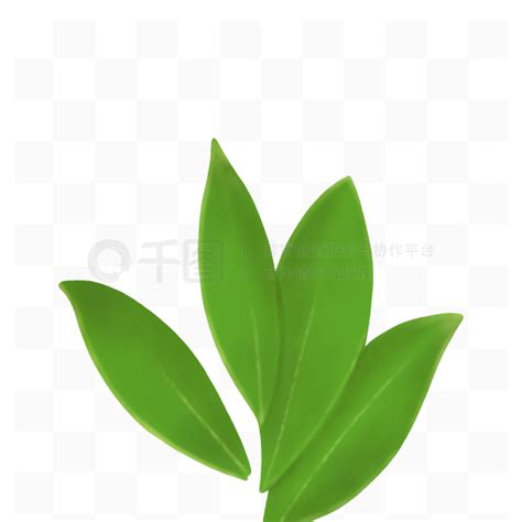 香料免抠元素手绘草药香料绿色香叶模板免费下载psd格式650像素编号40976419 千图网