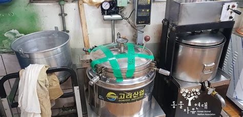 “개고기 식용 금지법 생기면 용산에 200만마리 풀겠다” 개농장 대표 육견협회 발표 내용 포스트쉐어