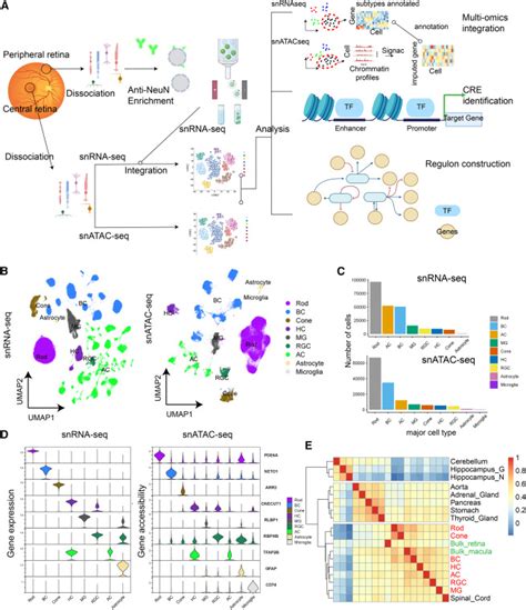 Chen Lab Publications