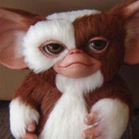 Gizmo Character Comic Vine