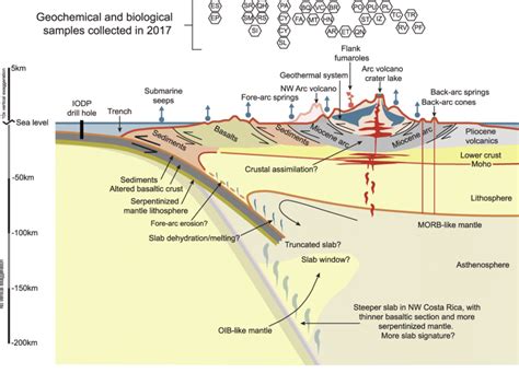 Schematic Cross Section Of A Subduction Zone Note That The Sample