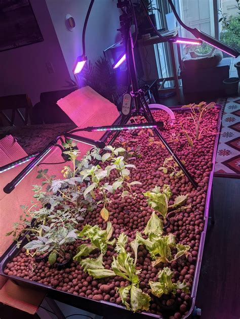 Flood Table Not Getting Enough Light Need A Grow Light Solution