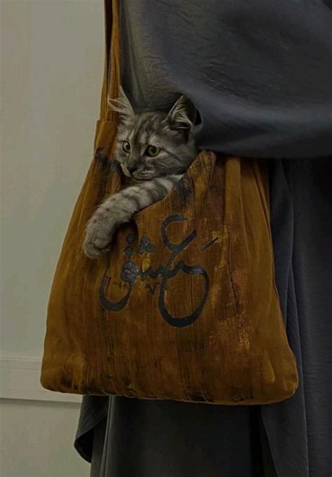 Pin by س on Pins by you Cute animals Pretty cats Cute cats
