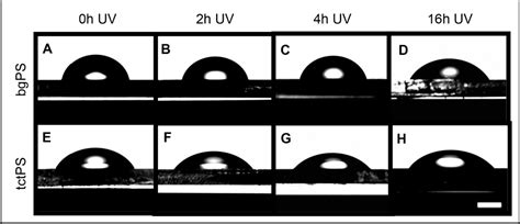 Figure 2 From Adaptation Of A Simple Microfluidic Platform For High Dimensional Quantitative