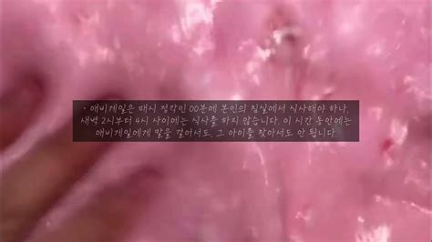 Trigger Warning 보모 지침서 01 레딧 괴담 번역 액괴 공포 호러 시리즈 소시액 소귬 소규모 액괴 레딧 액괴 Youtube