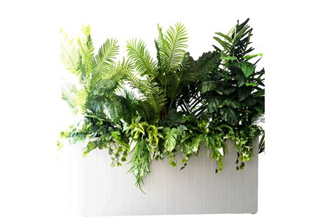 White Wooden Planter Box With Tropical Greenery Chaircovers Over All