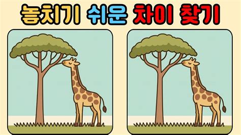 다른그림찾기 놓치기 쉬운 차이 찾기 Youtube