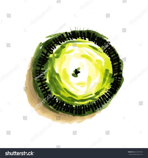 Tree Plan Symbol Landscape Design Drawing Stock Illustration Shutterstock