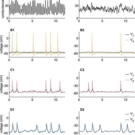 Tuning To Input Time Difference Requires Electrically Isolated Soma And