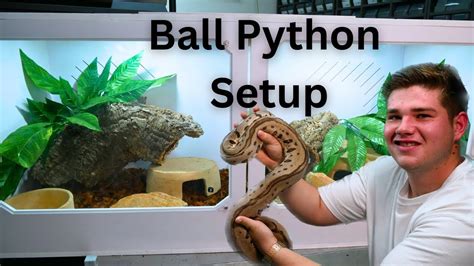 Diy Ball Python Setup Youtube