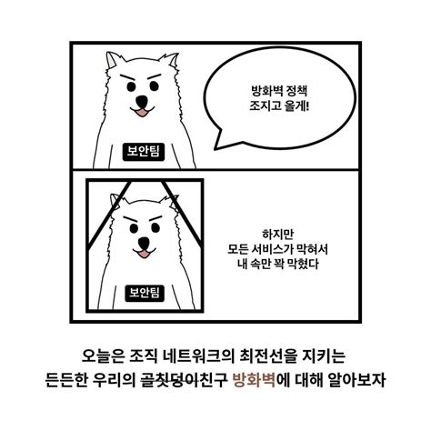 터틀넥 연구소 데이터 분석가 진 [방화벽] 오늘은 조직 네트워크의 최전선을 지키는 든든한 우리의 금쪽이 방화벽에 대해
