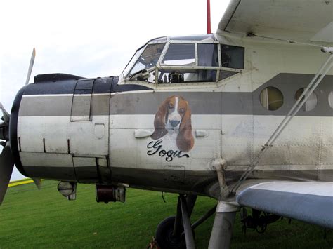 무료 이미지 포도 수확 늙은 차량 조종석 마리화나 담배 복엽 비행기 공군 쌍발 비행기 전투기 군용 항공기 2 지구의 분위기 항공기 엔진 프로펠러
