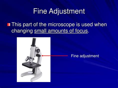 Ppt Microscope Parts And Functions Powerpoint Presentation Free