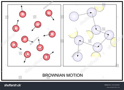 Scientific Diagram Showing Brownian Motion Particles Stock Vector Royalty Free 2541692667