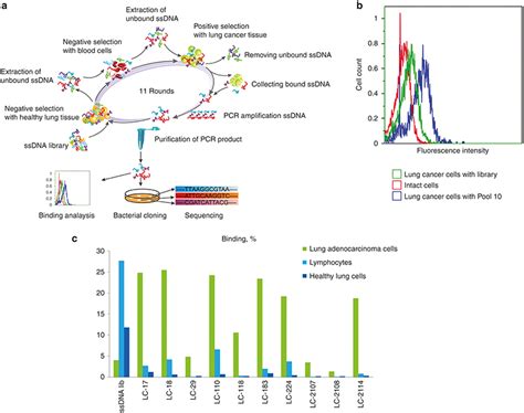 Aptamer Selection To Lung Adenocarcinoma Postoperative Tissues A