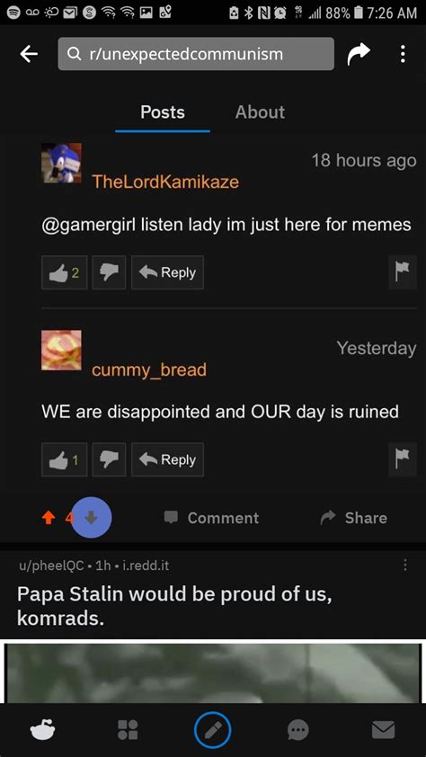 minor visual glitch with the downvote button not sure how i got it r