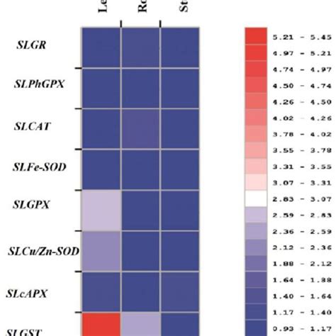 Diagram Showing The Expression Of Each Gene For Leaf Root And Stem