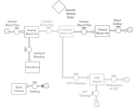 Figure 1 From A Computer Model Of Intracranial Pressure Dynamics During