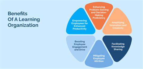 Learning Organization What Is It And How To Build One