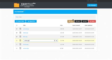 Easyfile Angularjs And Codeigniter File Manager By Avirtum Codecanyon