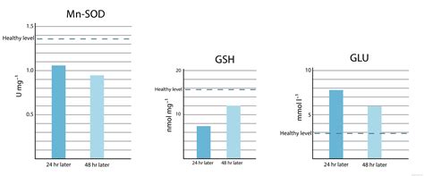 Oxygen Processing Graphs Natural Lake Biosciences