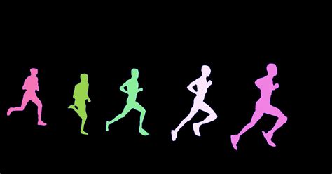 视频目标语义分割自动标注——从图像轮廓提取到转成json标签文件语义分割图像标注软件 Csdn博客