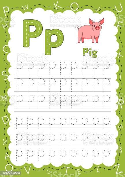 어린이를위한 필기 통합 문서 문자 학습을 위한 워크시트입니다 아이들을위한 활동 책 유치원 교육 페이지 편지 P 0명에 대한 스톡 벡터 아트 및 기타 이미지 Istock