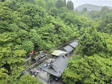 Japan 건축 경치 경치 좋은 전망 고대 사원 고요함 관광 관광 명소 교토 교토 랜드마크 교토 여행 교토부 기온 기요 미즈 데라 나무 녹지