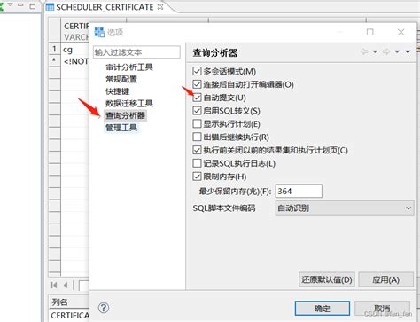 达梦数据库 dm8 管理工具不会自动提交执行sql的几种方式 达梦数据库设置自动提交 csdn博客