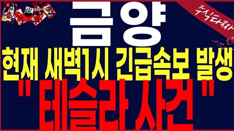 금양 긴급 심장마비소식 발생 내일은 이가격 노리세요 칼맞을각오로 여의도떤주 전략노출금양 금양주가전망 금양주가 금양대응전략 금양주식전망 금양주가분석