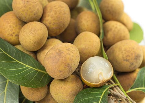 How To Eat Longan And Why You Should Try It What It Taste Like